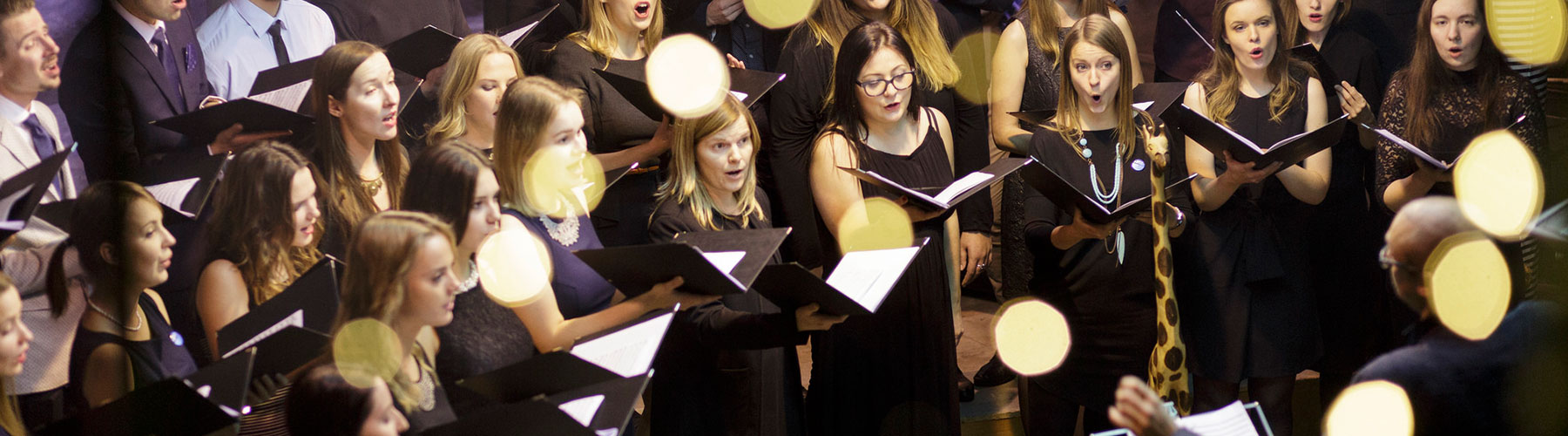 SSE Riga Foundation | Stockholm School of Economics in Riga